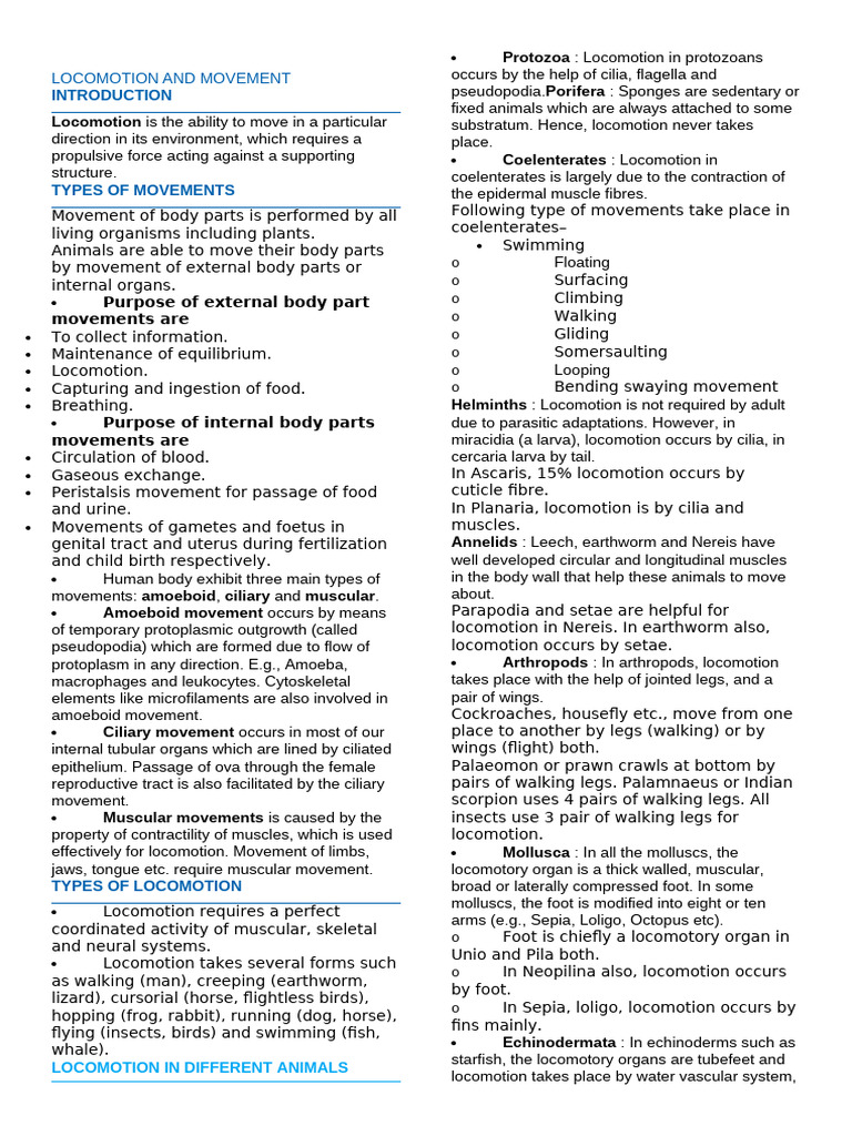 Class 11th Holiday Homework | PDF | Vertebra | Vertebral Column