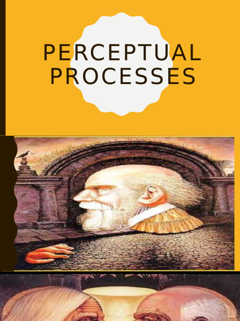 Perceptual Processes | PDF | Self-Improvement