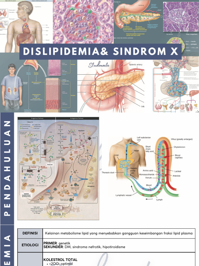 Dislipidemia - Sindrom X | PDF