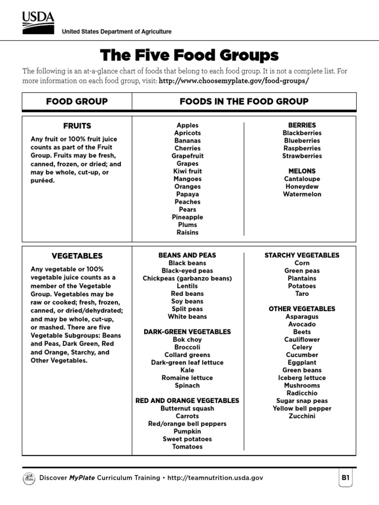 Five+Food+Groups +My+Plate | PDF | Whole Grain | Cereals