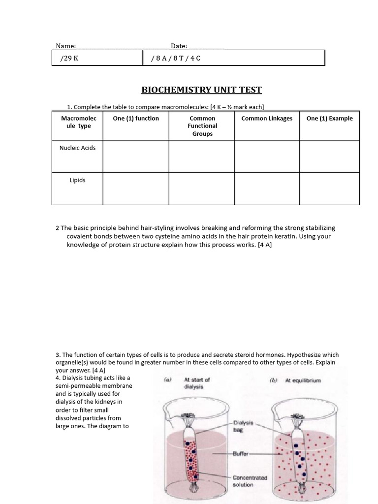 1.8.1 Biochemistry Unit Test-New8by11 | PDF | Enzyme | Cell (Biology)