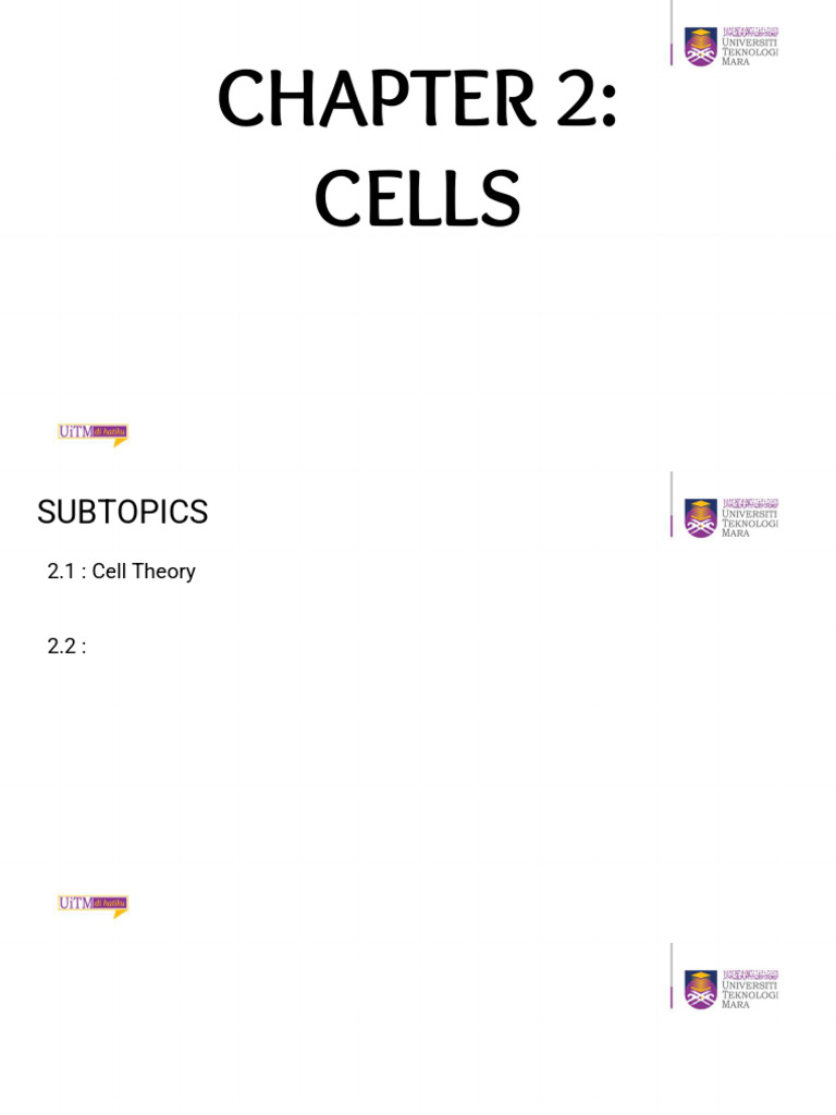 02 - Chapter 2 Cells 20242025 | PDF | Epithelium | Endoplasmic Reticulum