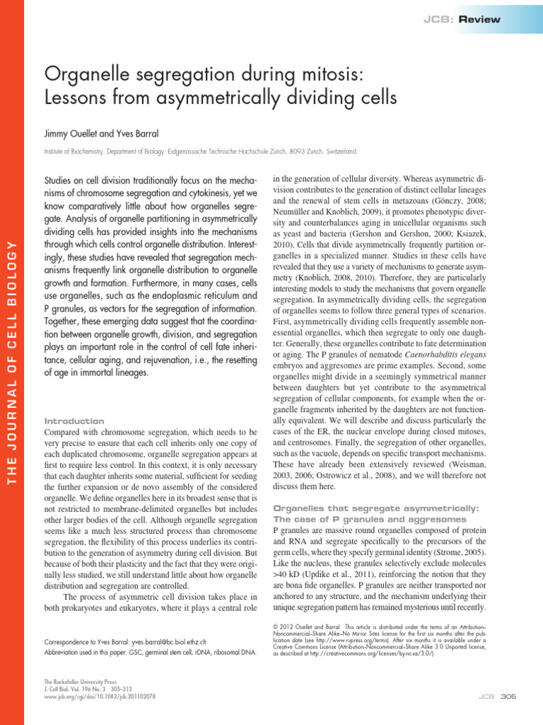 Organelle Segregation Insights | PDF | Mitosis | Cell Nucleus