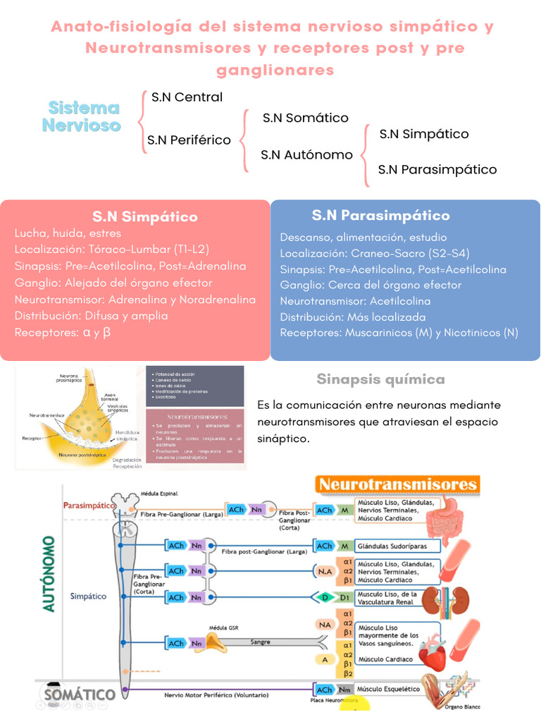 Apunte 20240918 011721 0000 | PDF