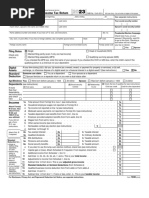 FEMA Declaration Form | PDF