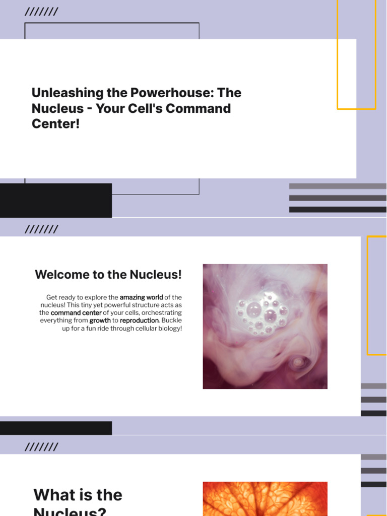 Nucleus | PDF | Self-Improvement | Science & Mathematics