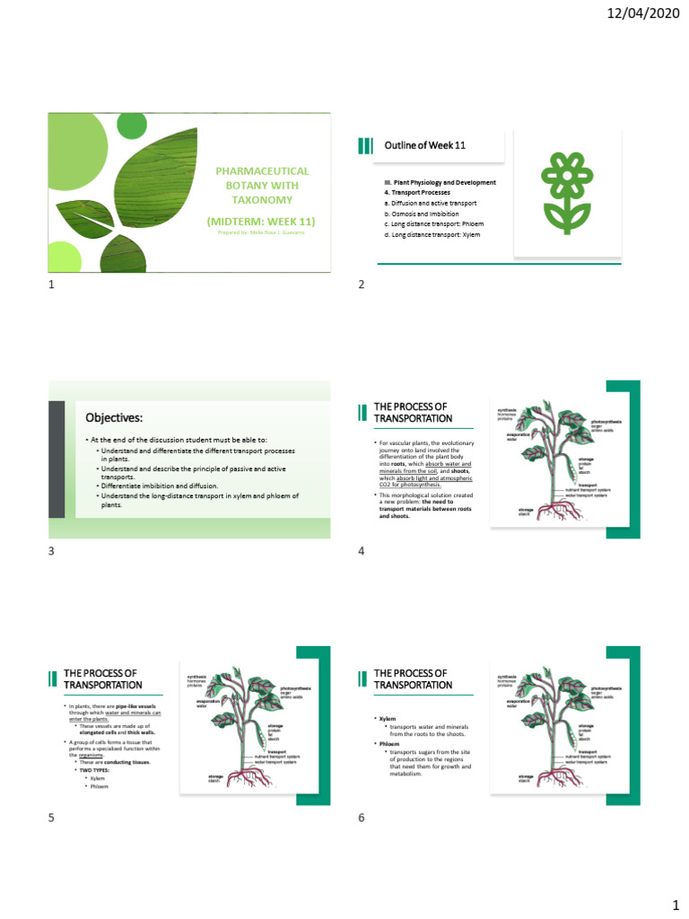 Pbot 111 Midterm Week 11 | PDF | Osmosis | Cell Membrane