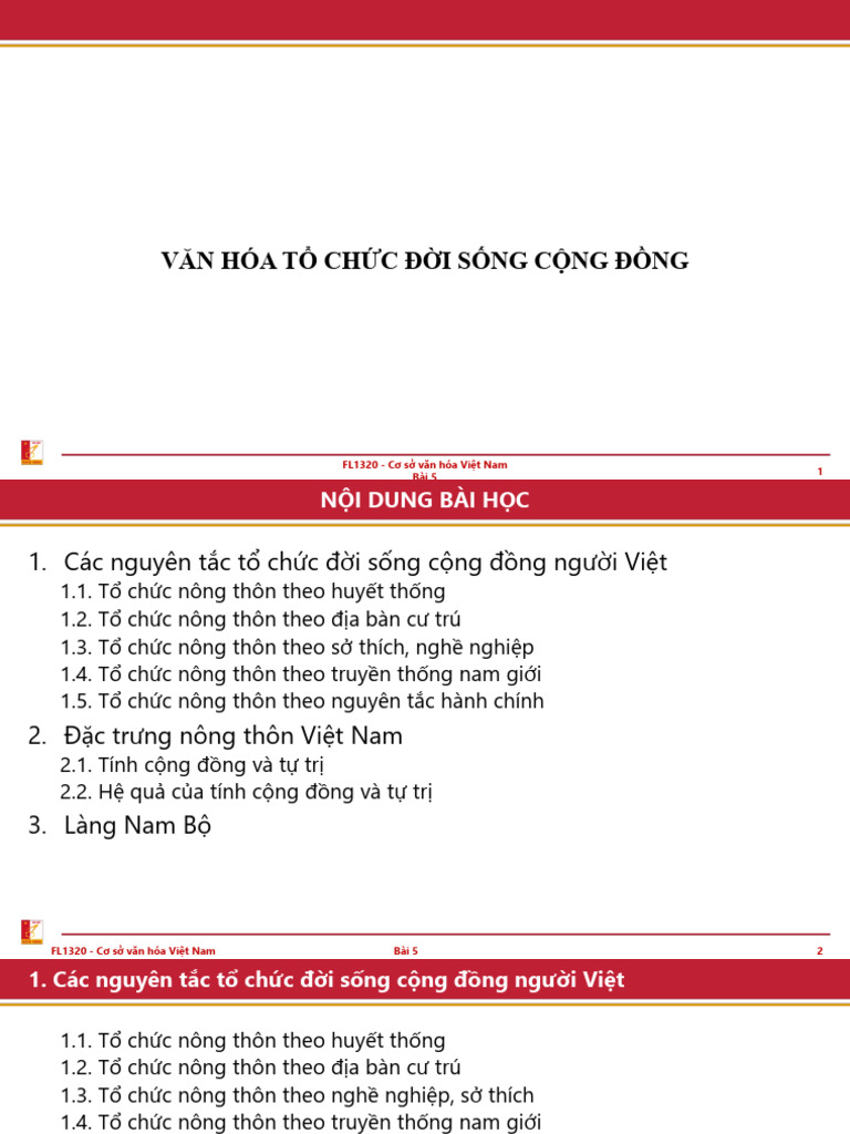 CSVH Bài 5 Outline | PDF