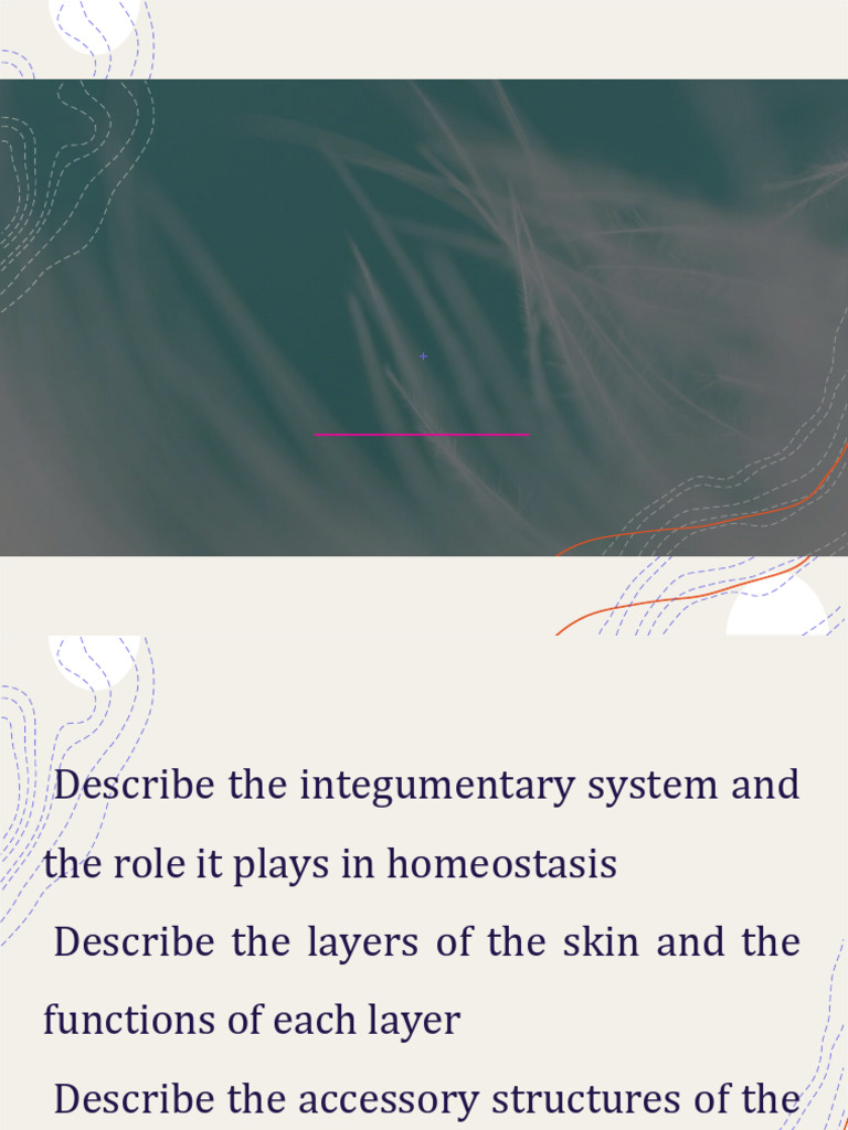 Anatomy and Physiology Lecture 6 Integumentary System | PDF | Skin ...