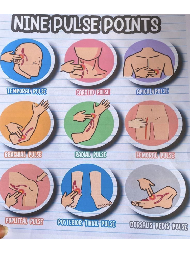 The Nine Pulse Points | PDF