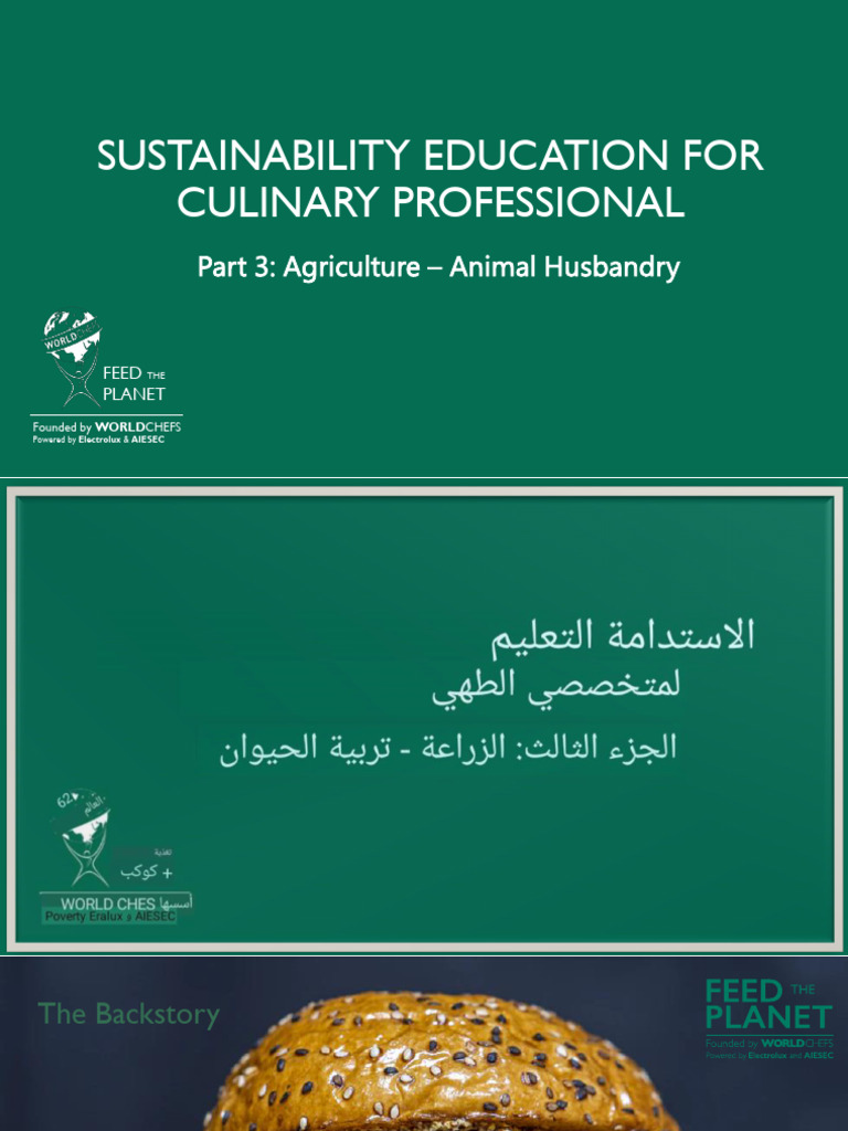 3 - Animal Husbandry Arabic | PDF | Cattle | Foods