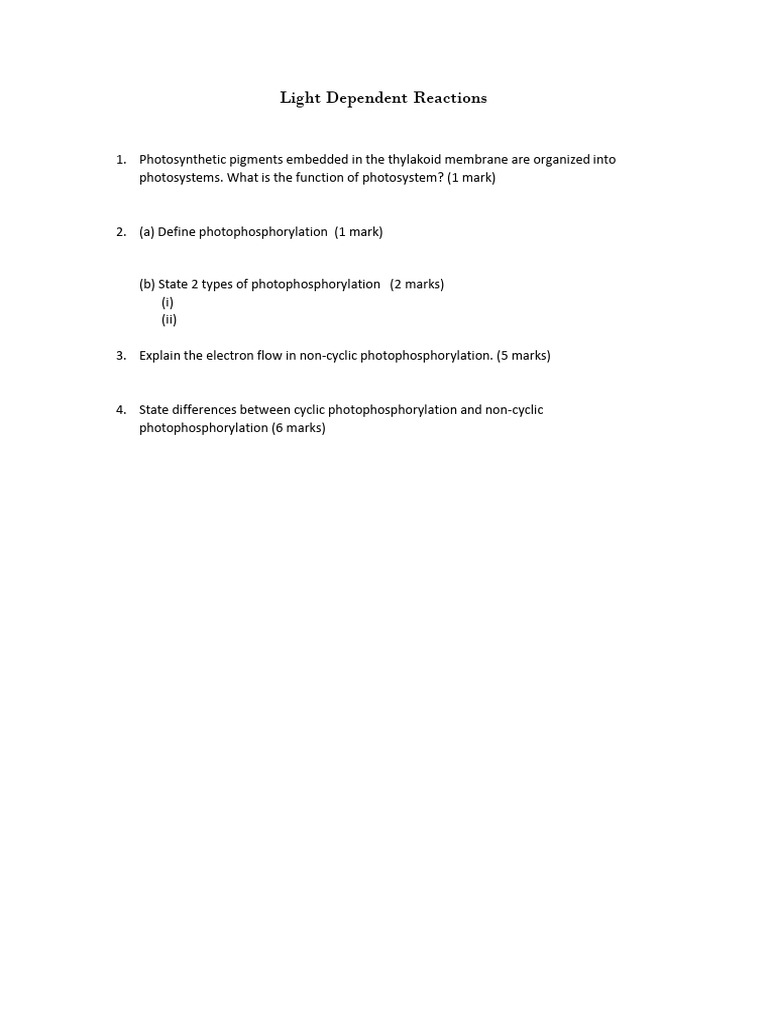 Light Dependent Reactions Explained | PDF