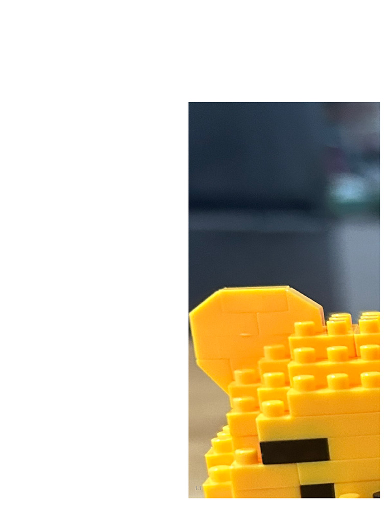 Poster Printing | PDF