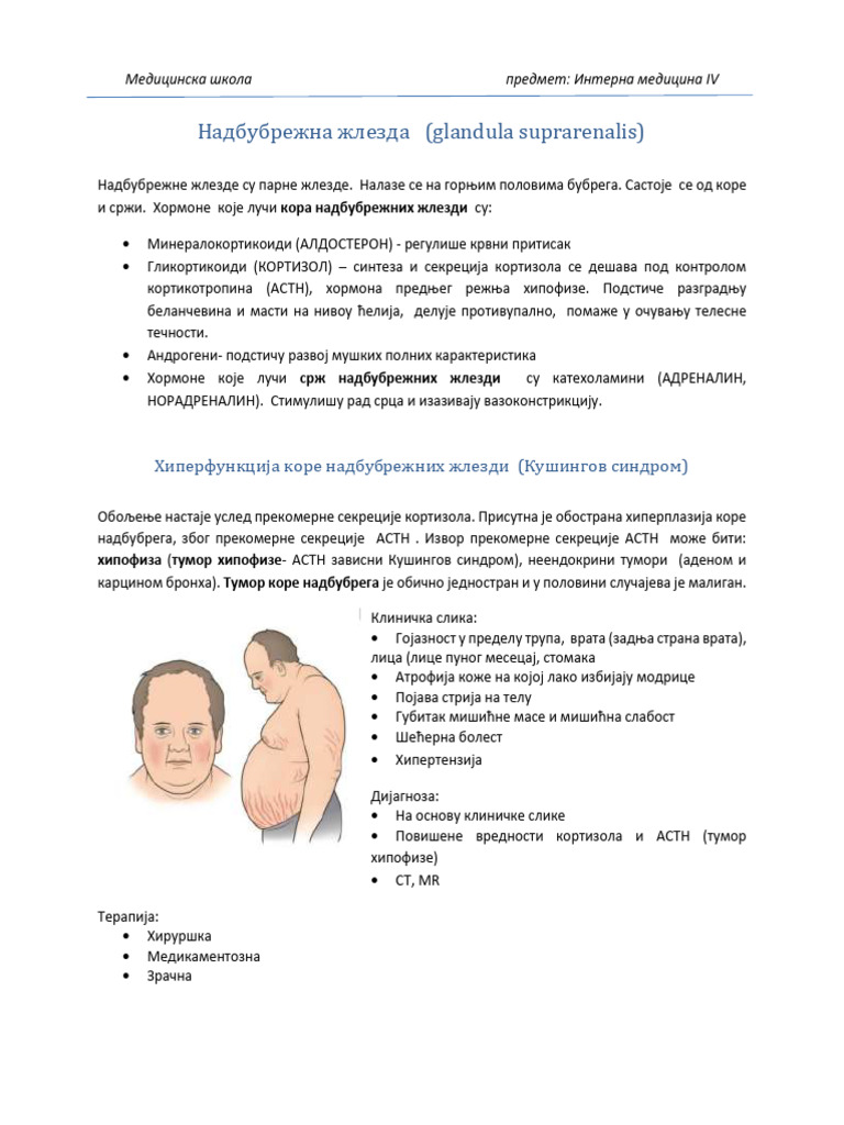 Nadbubrezna Zlezda - Kusingov Sindrom | PDF