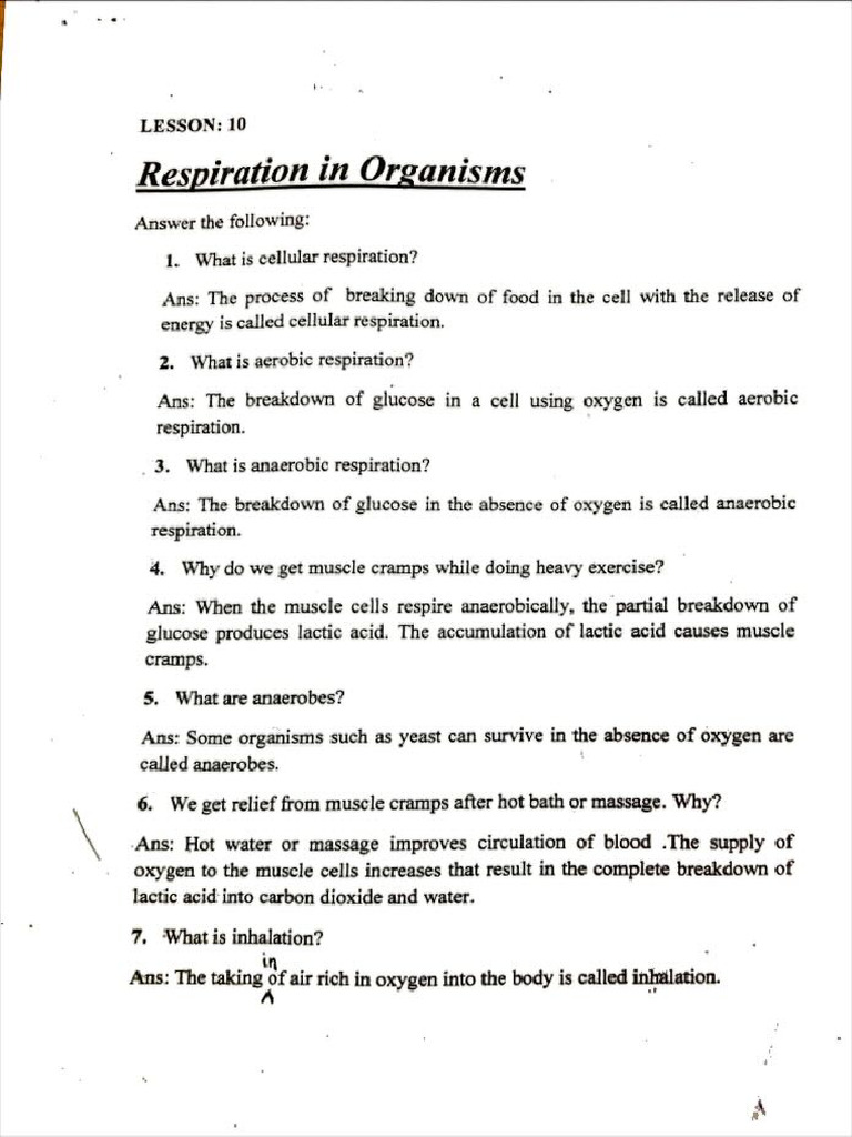 Respiration in Organisms | PDF