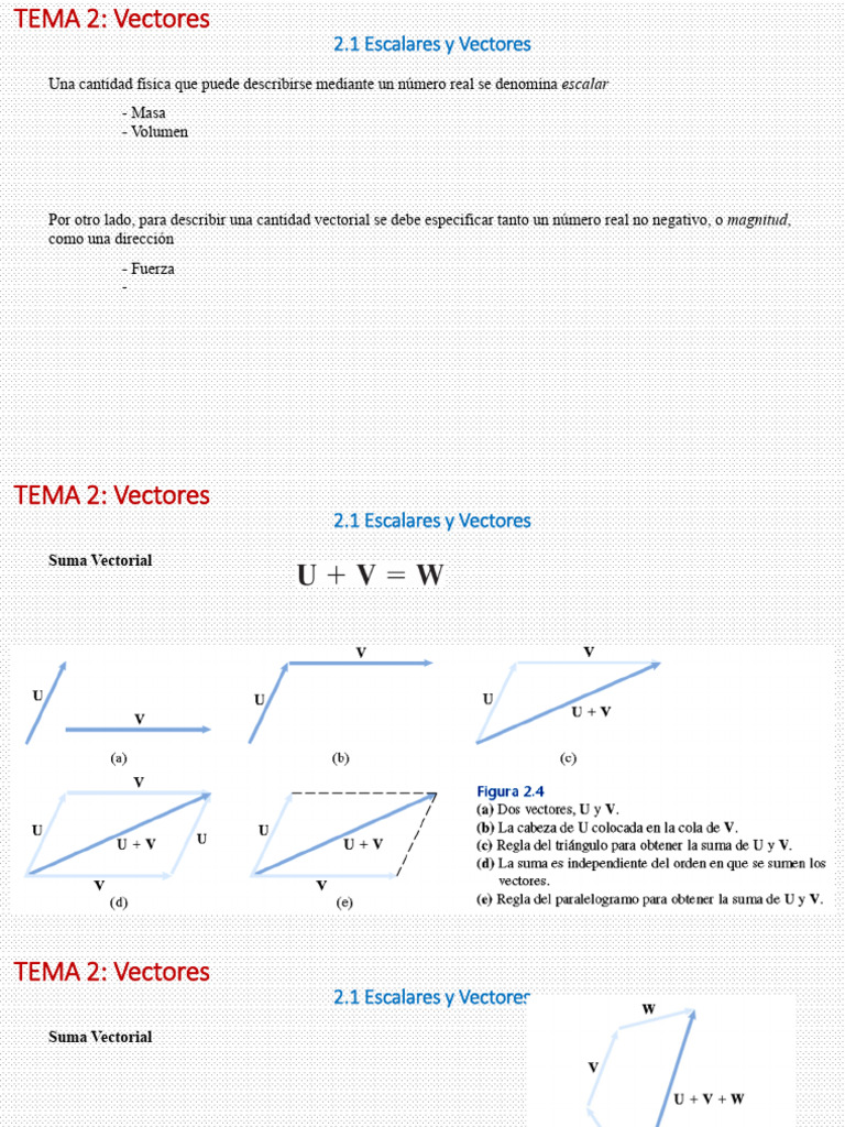 TEMA 2 - Vectores | PDF | Vector Euclidiano | Escalar (Matemáticas)