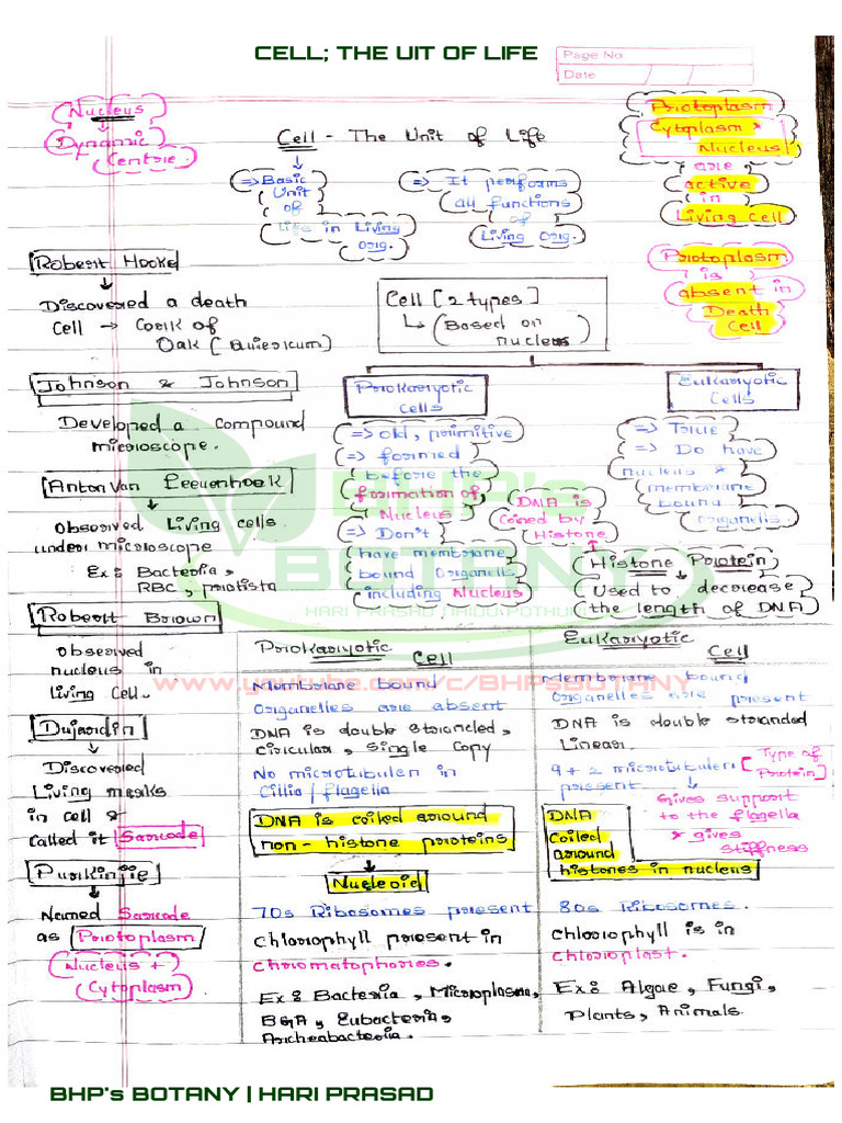 11 8 Cell The Unit of Life Class Notes by BHP Sir | PDF