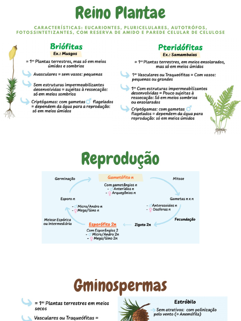 Mapping PDF | PDF