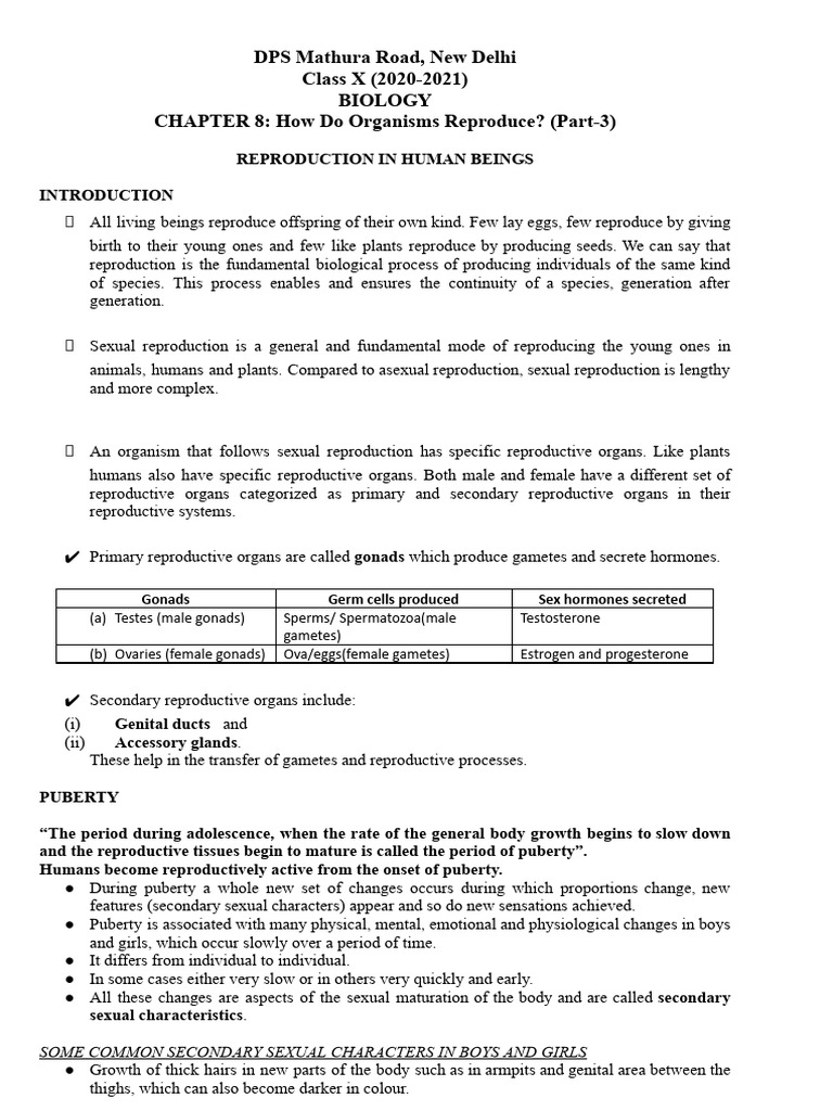 Class X Reproduction in Human Beings - SV | PDF | Reproductive System ...