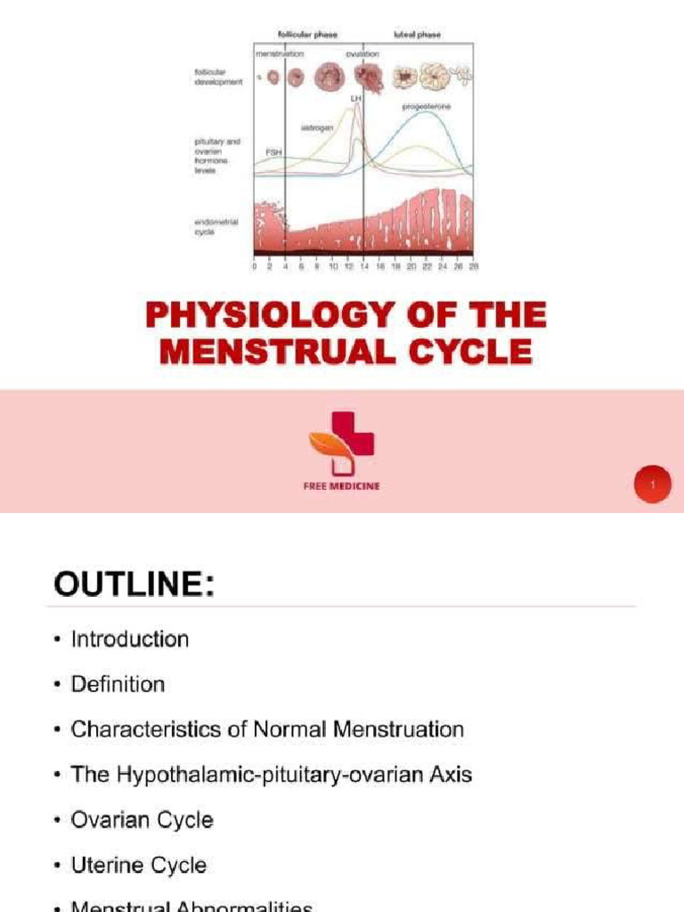 Normal Menstruation | PDF