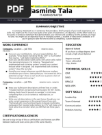 Big 4 CV Template Guide | PDF