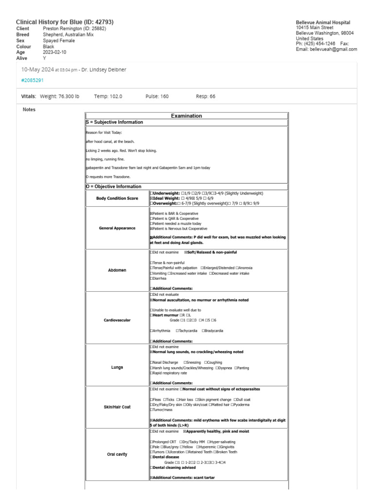 Annual Wellness Exam for Blue the Dog | PDF | Rectum | Prostate