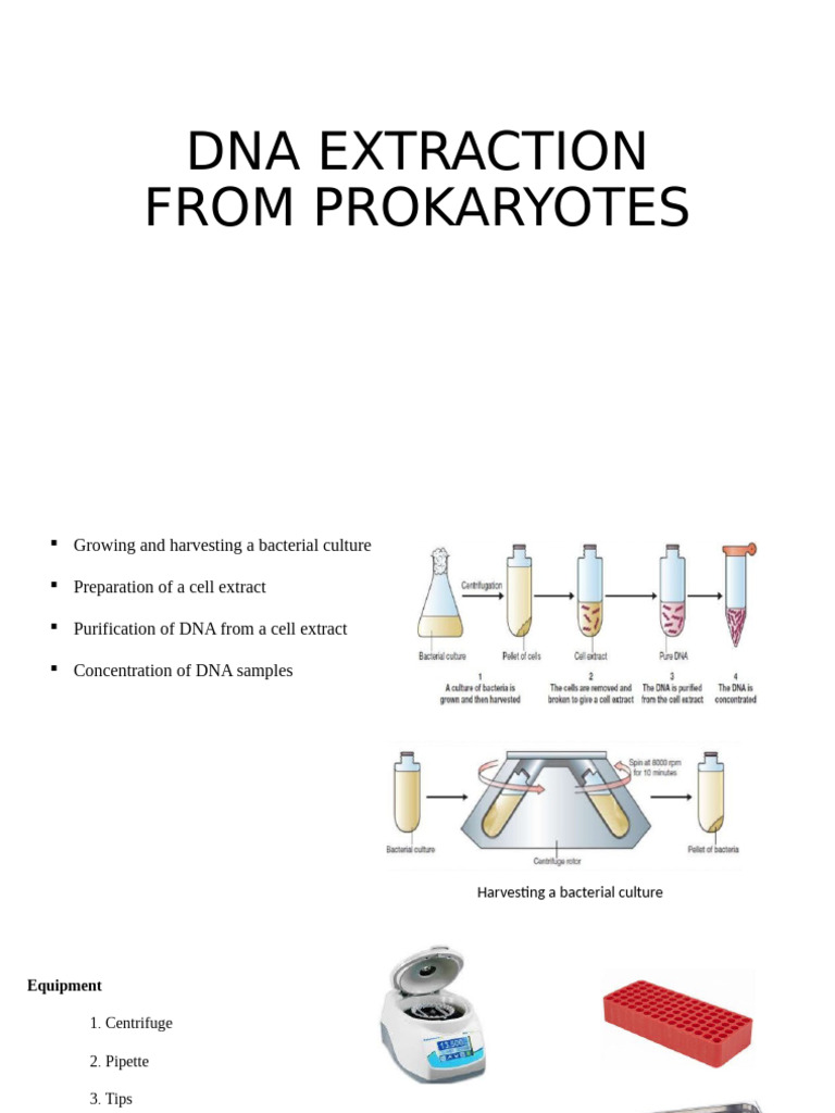 Dna Extraction From Prokaryotes | PDF | Laboratory Techniques | Biology