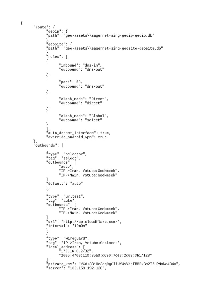 SagerNet Configuration for DNS and Outbounds | PDF