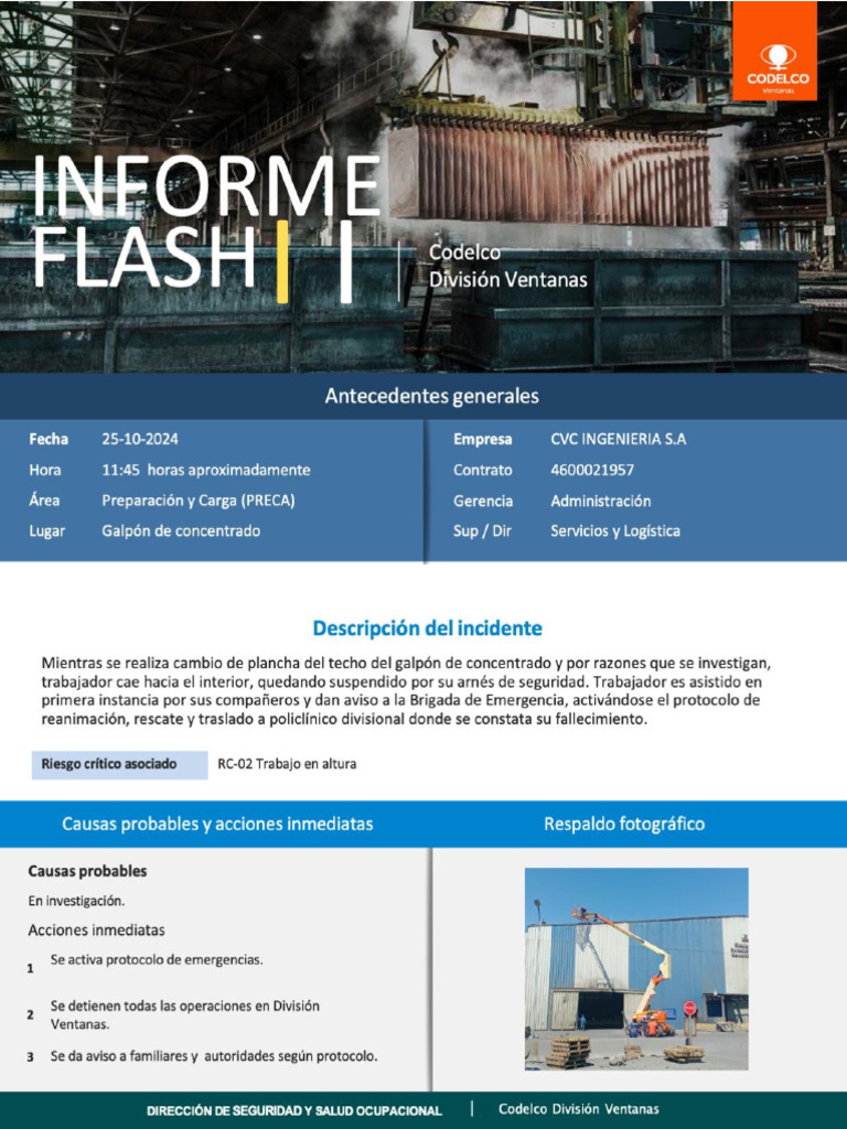 Informe Flash DVEN | PDF