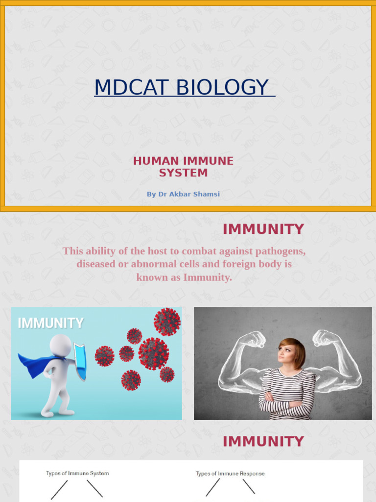Human Immune System | PDF
