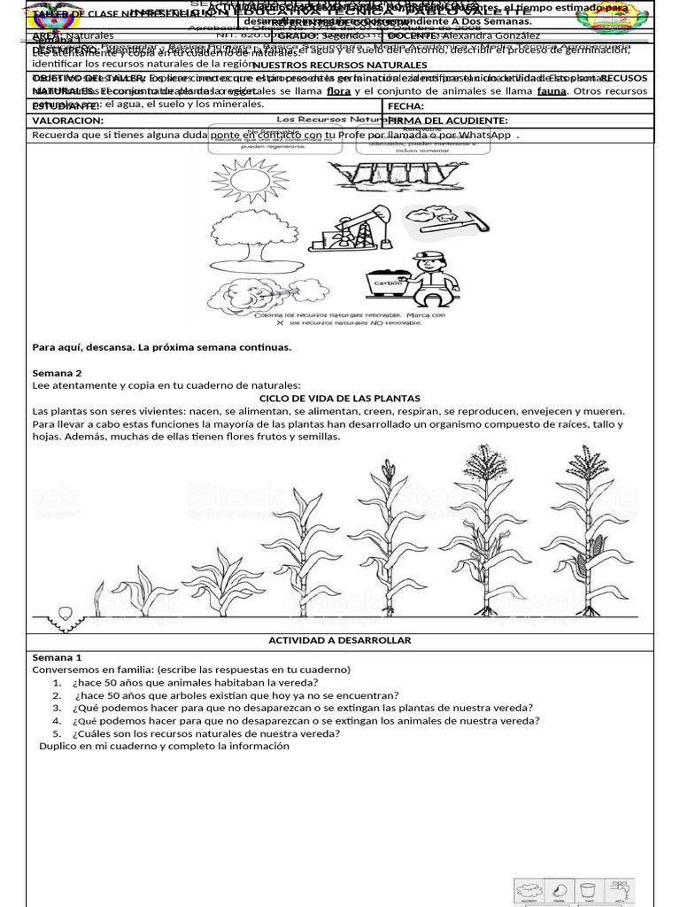 GUIAS 1 Naturales Segundo (Periodo Dos) | PDF | Plantas | Fauna