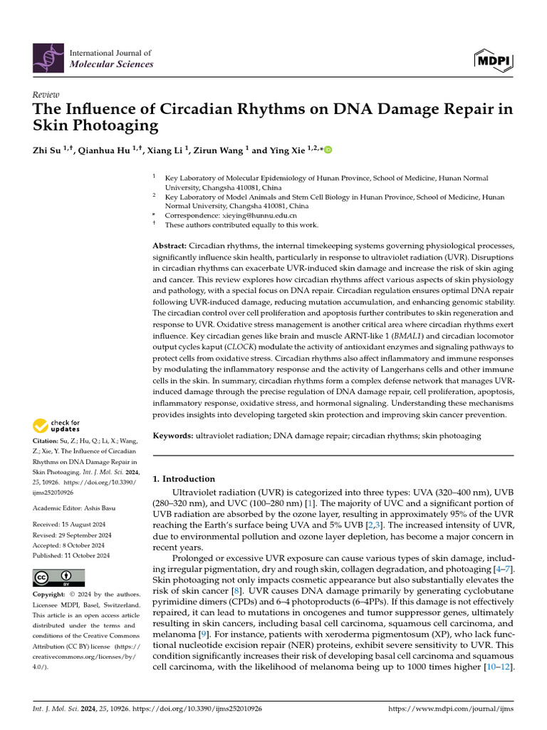 The Influence of Circadian Rhythms On DNA Damage R | PDF | Dna Repair ...