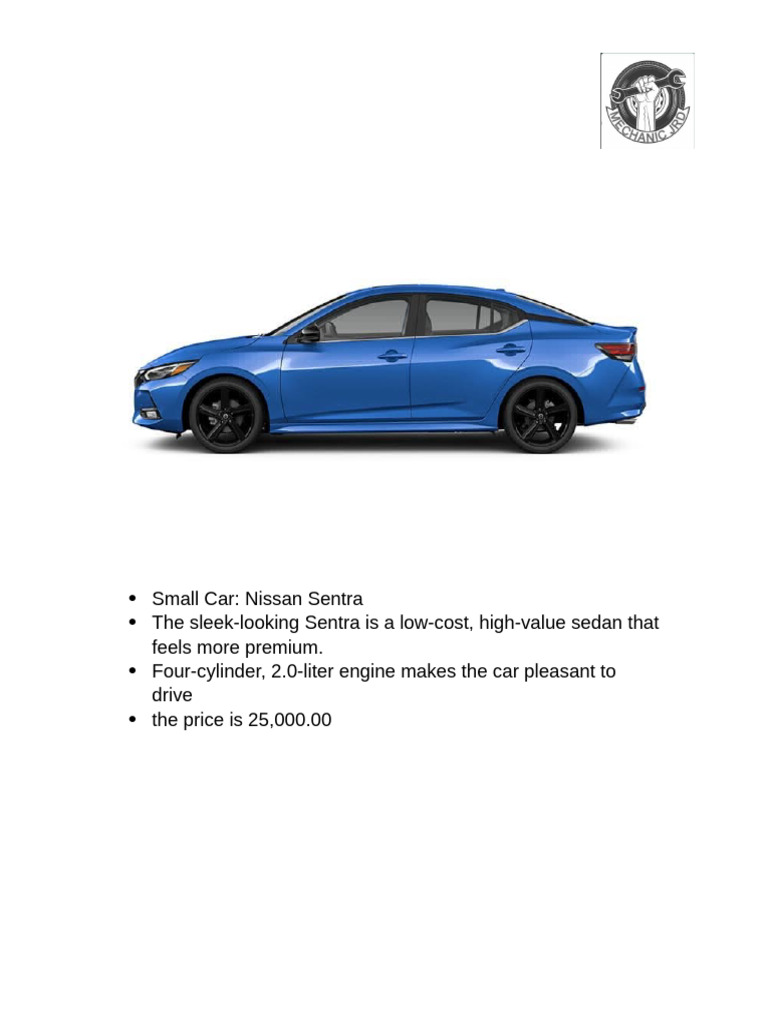 Small Car | PDF | Business