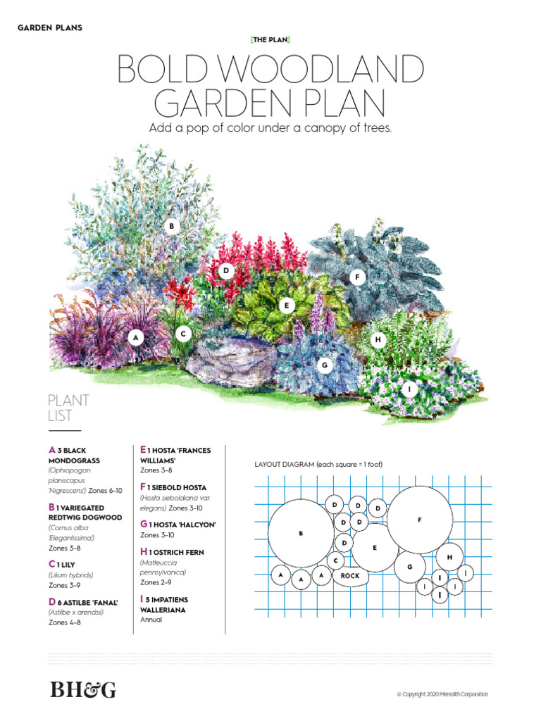 BHG Bold Woodland Garden Plan | PDF | Mulch | Soil