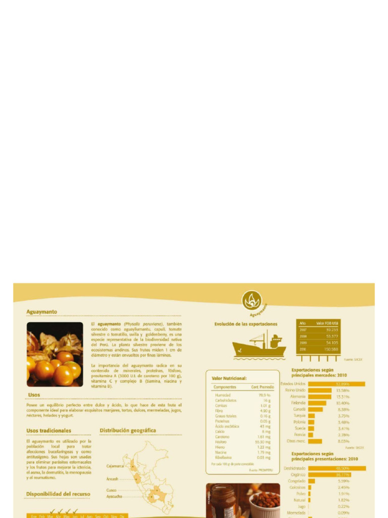 Diptico Aguaymanto | PDF