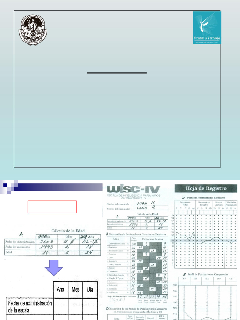 PROTOCOLO WISC IV Juan Valoracion | PDF | Terapia cognitiva ...