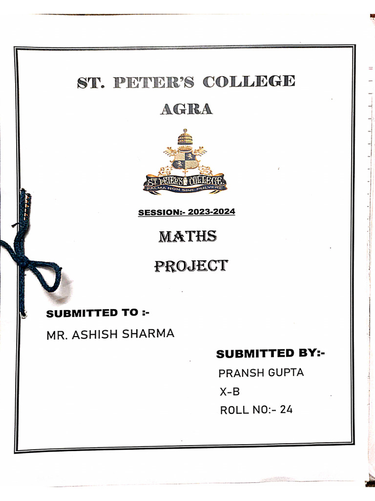 Maths Project | PDF