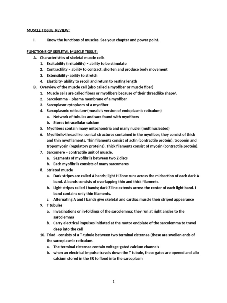 Marie B Chap 9 Study Outline | PDF | Muscle Contraction | Skeletal Muscle