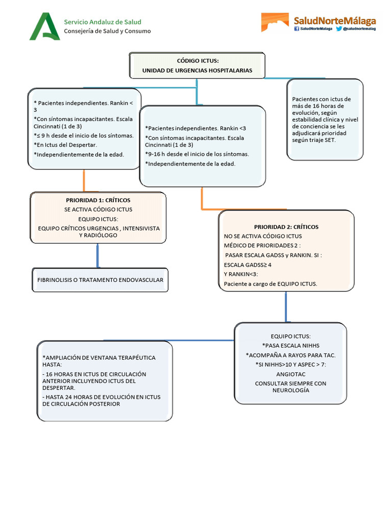 Esquema Actuación Ictus 2024 | PDF | Medicina CLINICA | Medicina