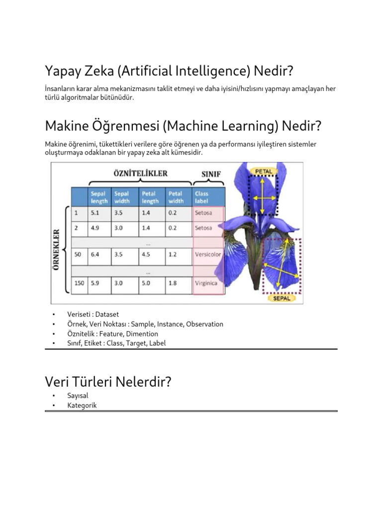 Machine Learning Giris | PDF