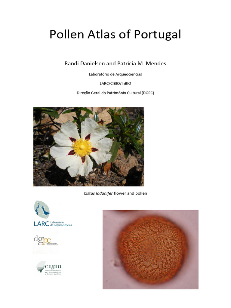 (Danielsen R. & Mendes P.M.) Pollen Atlas of Portugal | PDF