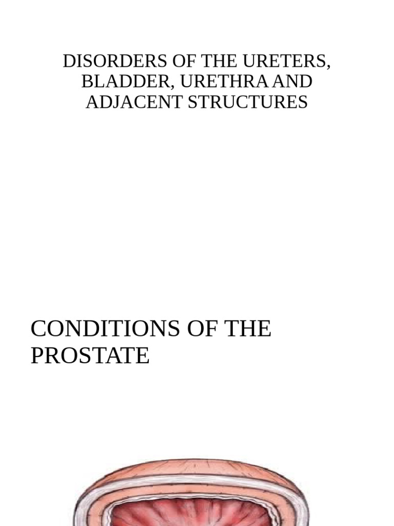 Disorders of The Ureters, Bladder and Urethra | PDF | Prostate | Medicine