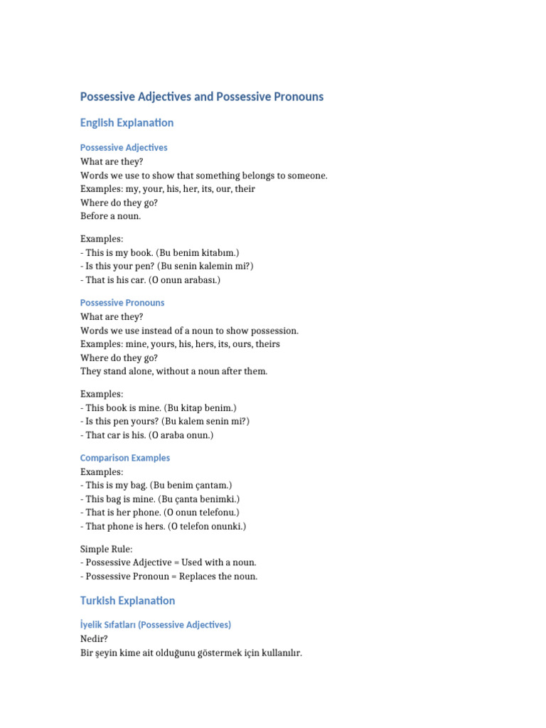 Possessive Adjectives and Pronouns | PDF