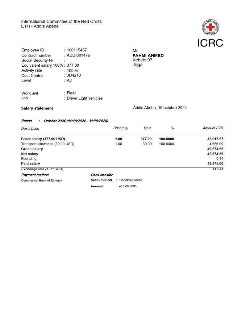 Salary Statement 2024 10 | PDF