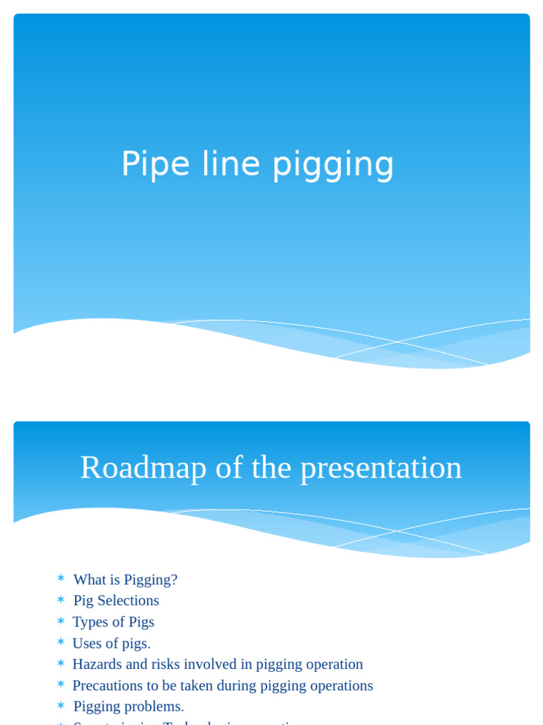 Pipe Line Pigging | PDF | Materials | Applied And Interdisciplinary Physics
