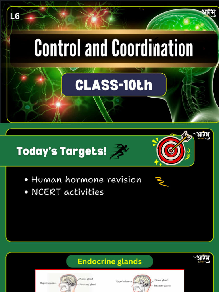 Control and Coordination L6 | PDF