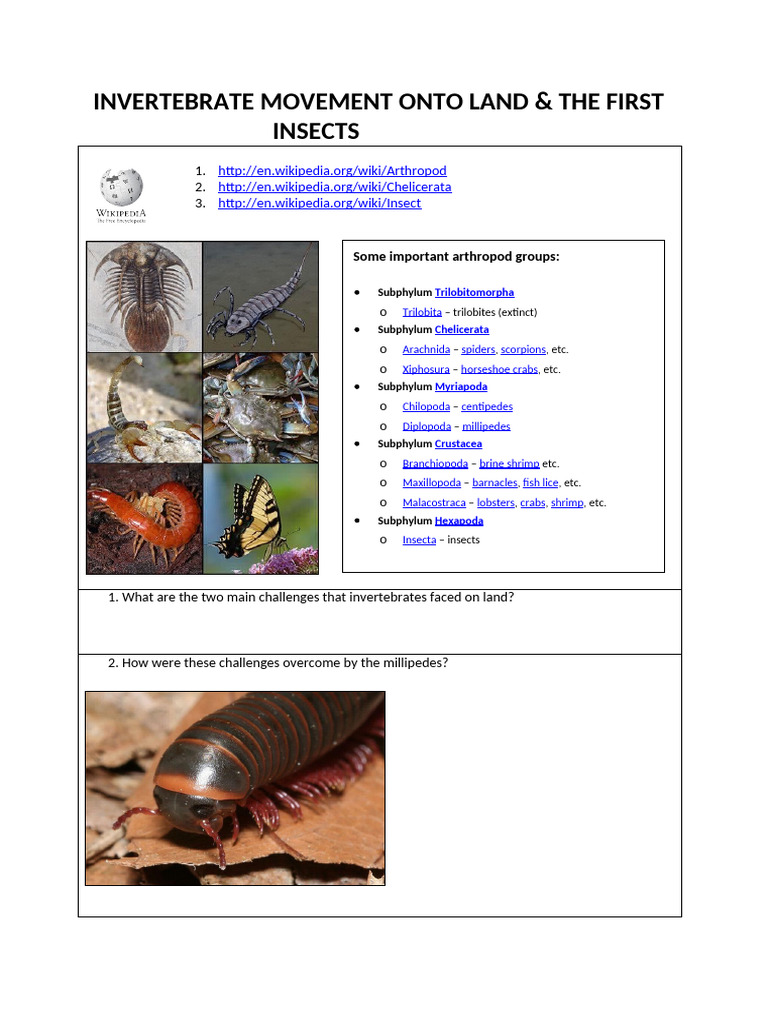 Invertebrate Land Movement & Insects | PDF | Insects | Crustacean