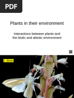 Technical Bulletin No - 8 - Biology and Management of Cuscuta | PDF | Herbicide | Seed