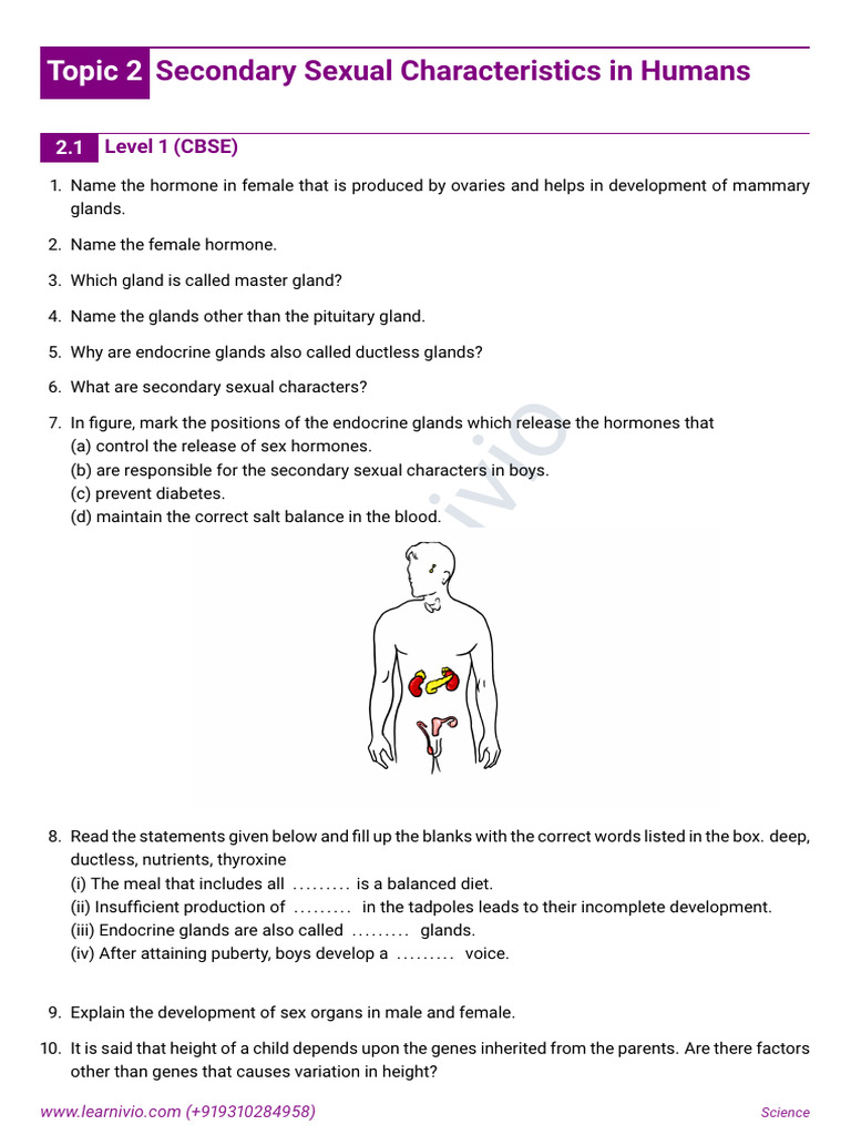 AOCL1729075697339 Assignment | PDF | Hormone | Endocrine System