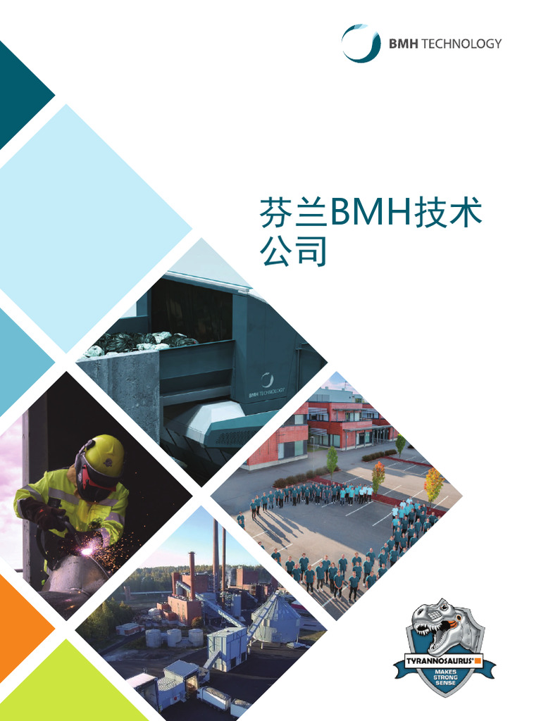 BMH Company Brochure 2020 - Spreads - Chinese ID 272177 1 | PDF